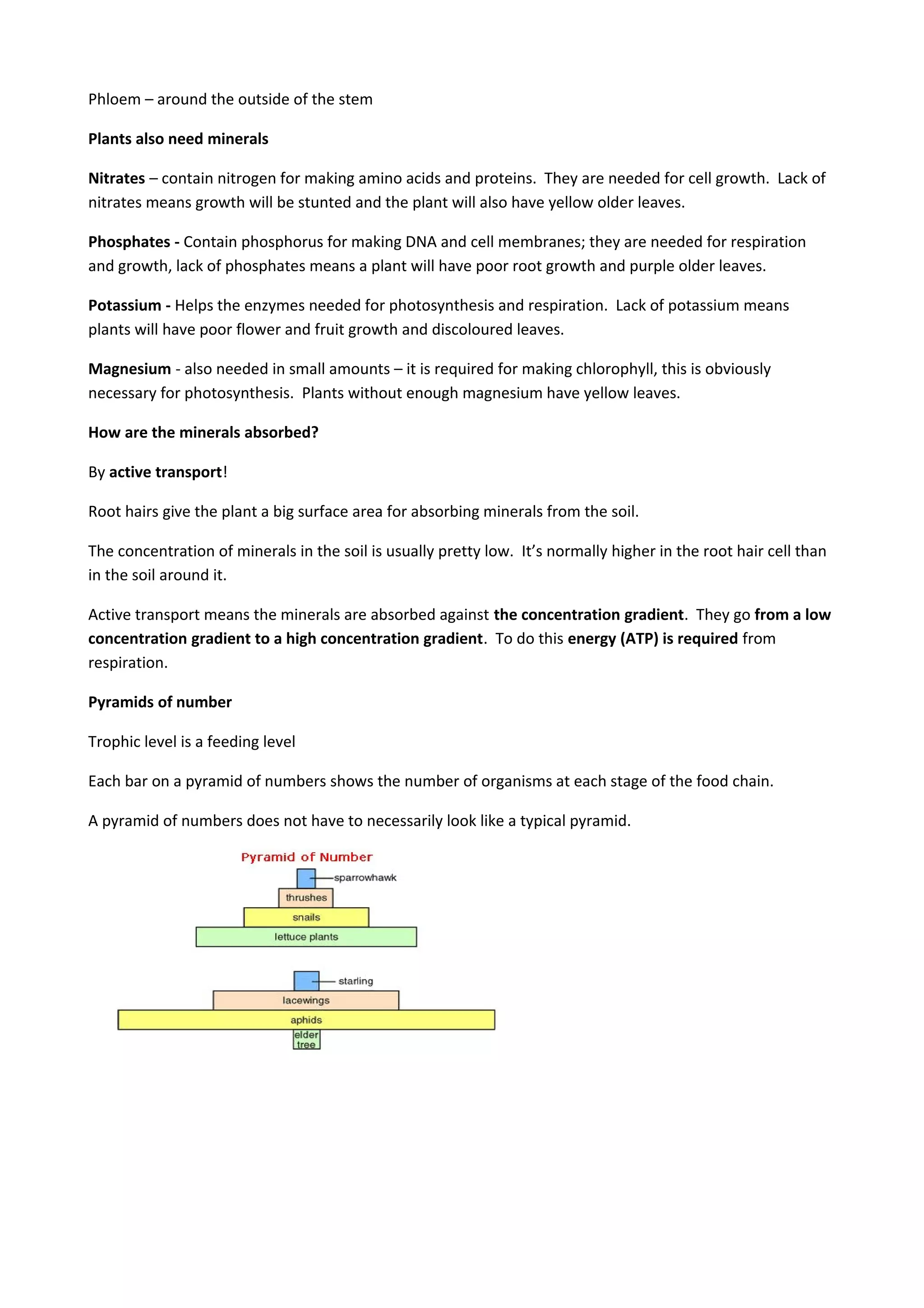 Year 11 Module B4 Revision Notes | DOC