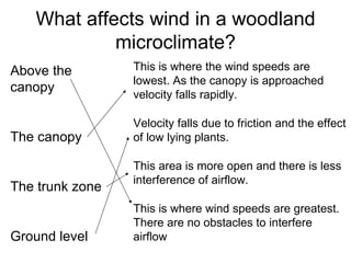 Year 12 Microclimate & Nutrient Cycling | PPT