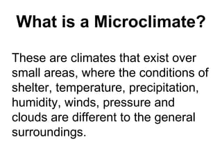 Year 12 Microclimate & Nutrient Cycling | PPT