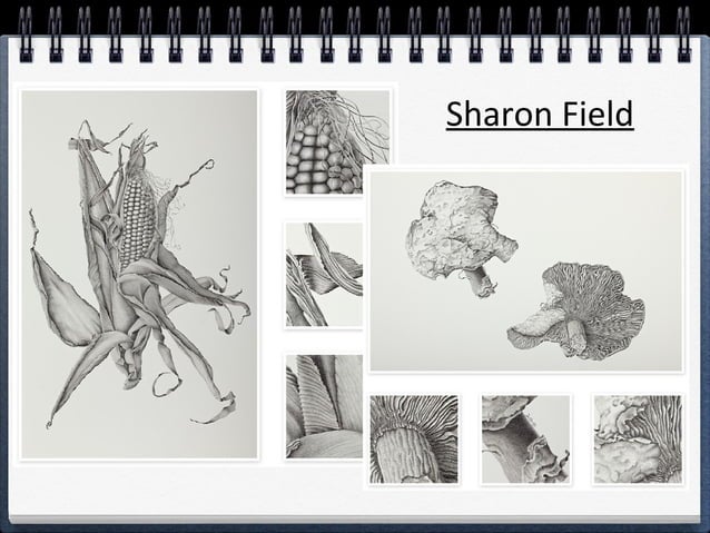 Year 12 art tonal drawings | PPT