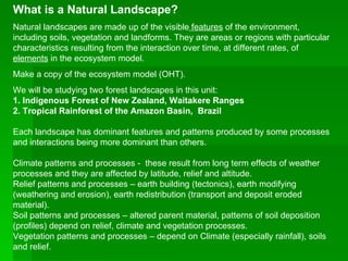 Year 12 powerpoints | ZIP