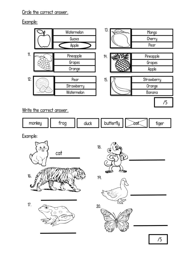 Year 1 dlp placement test (2) | PDF