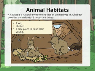 Science Year 2- Chapter 1 Aniamal Habitat.ppt