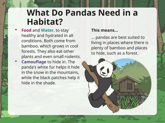 Science Year 2- Chapter 1 Aniamal Habitat.ppt