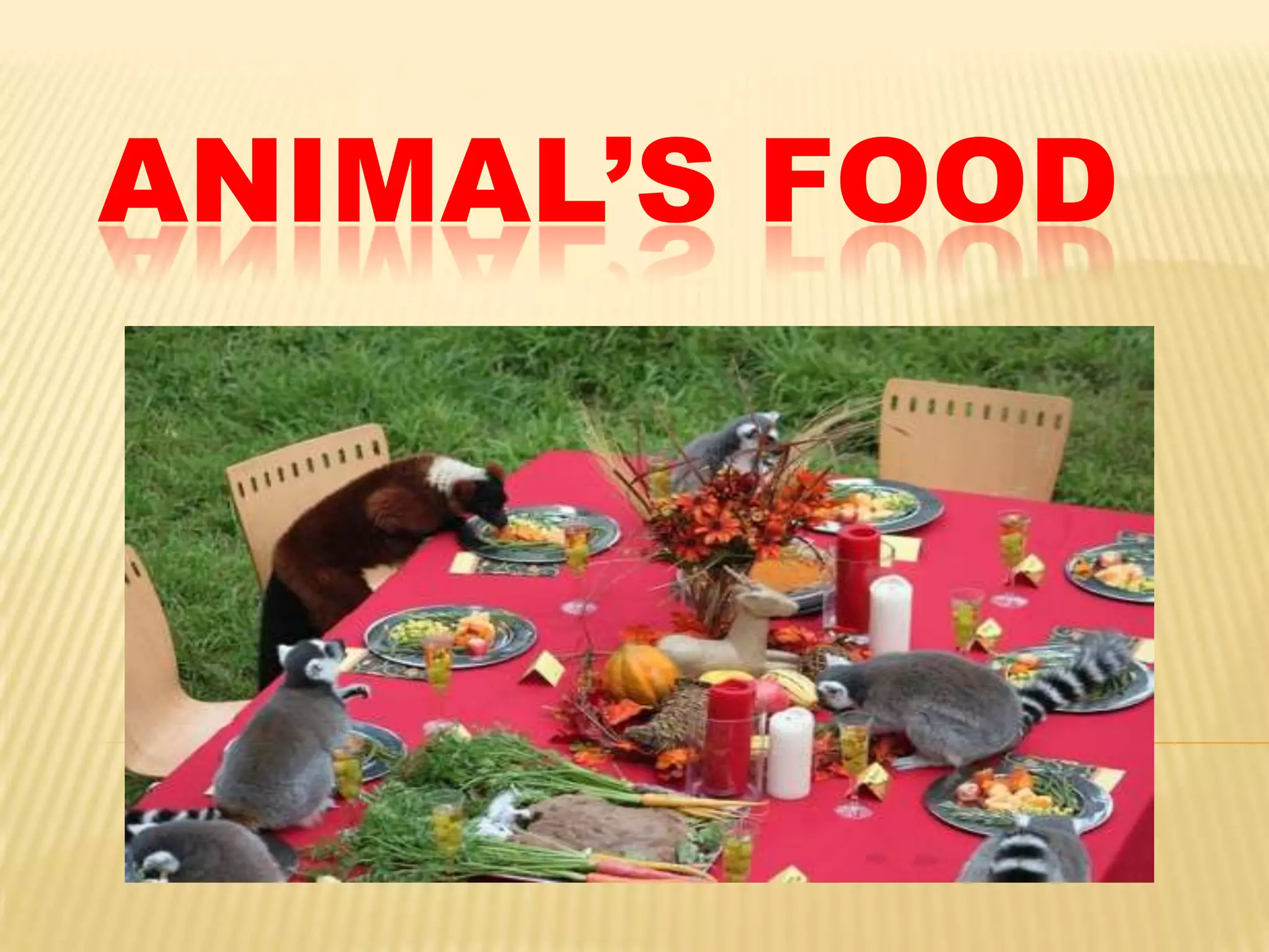 Year 2 animals food | PPT