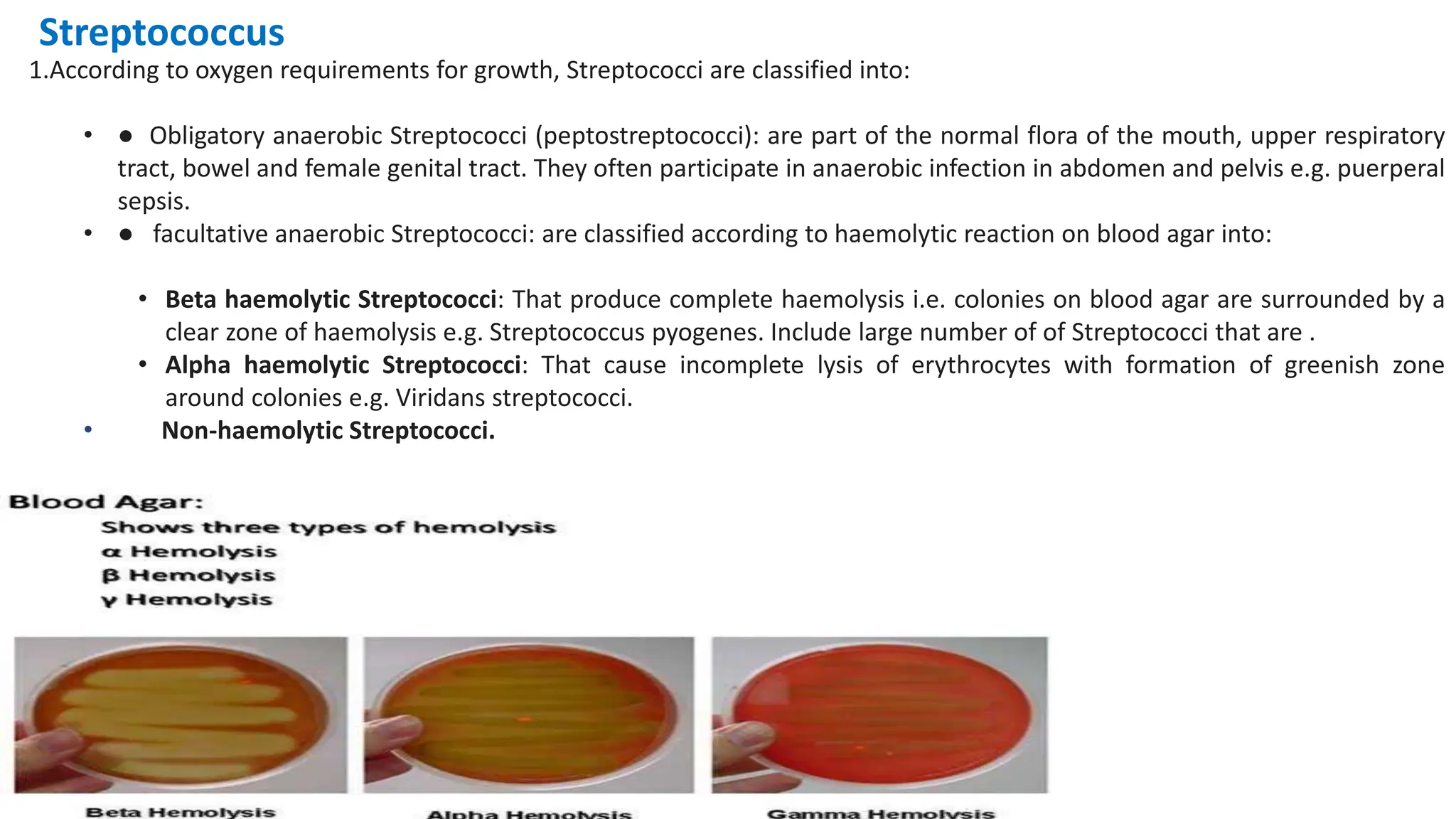 Bacterial meningitis and symptoms copy.pptx