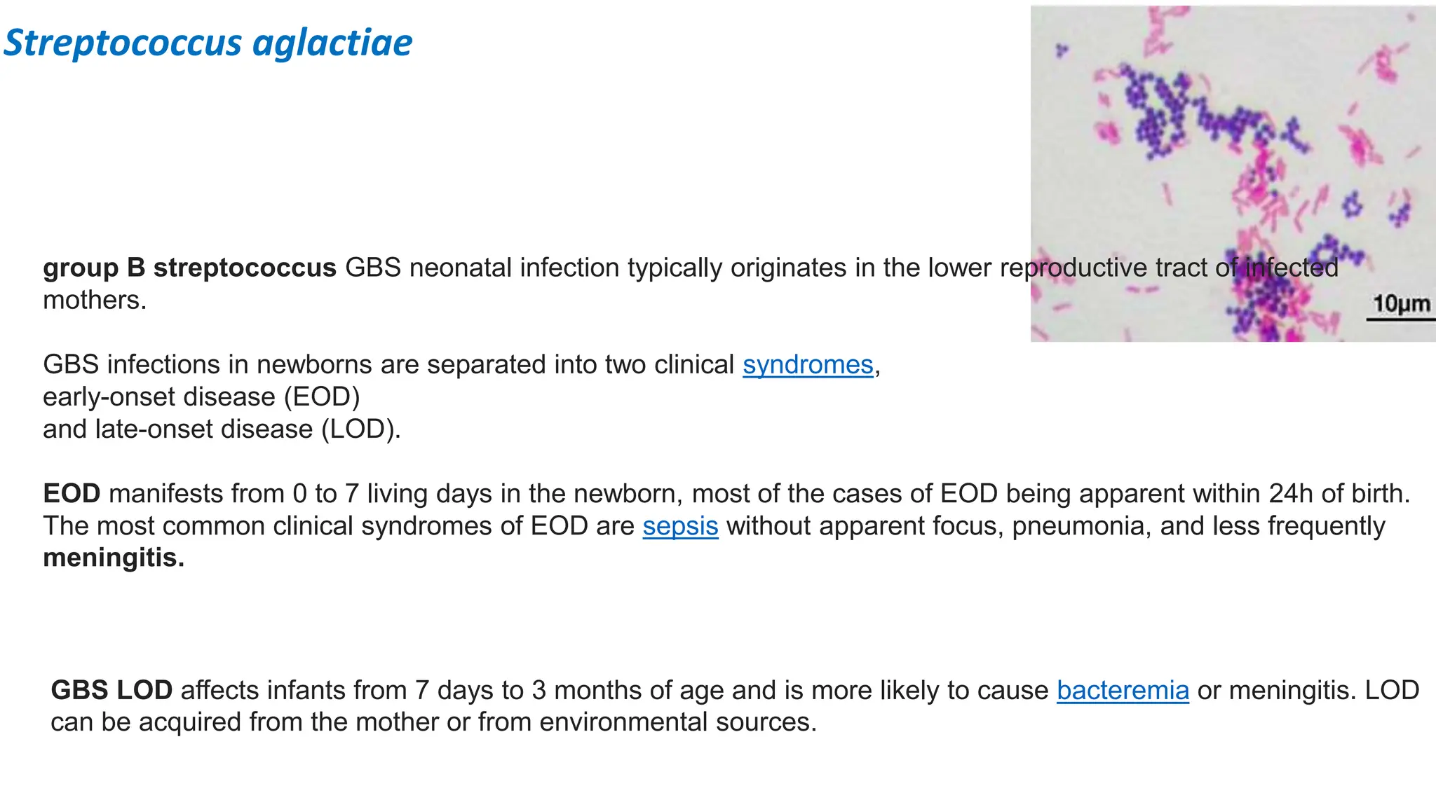 Bacterial meningitis and symptoms copy.pptx