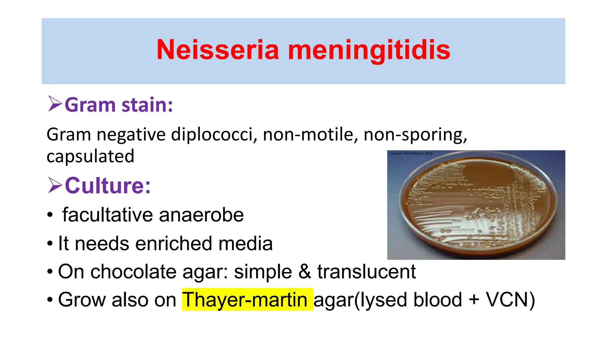 Bacterial meningitis and symptoms copy.pptx