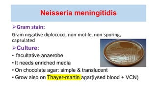 Bacterial meningitis and symptoms copy.pptx