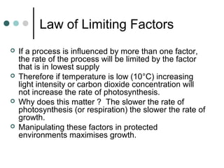 Year 2 week 10 presentation | PPT