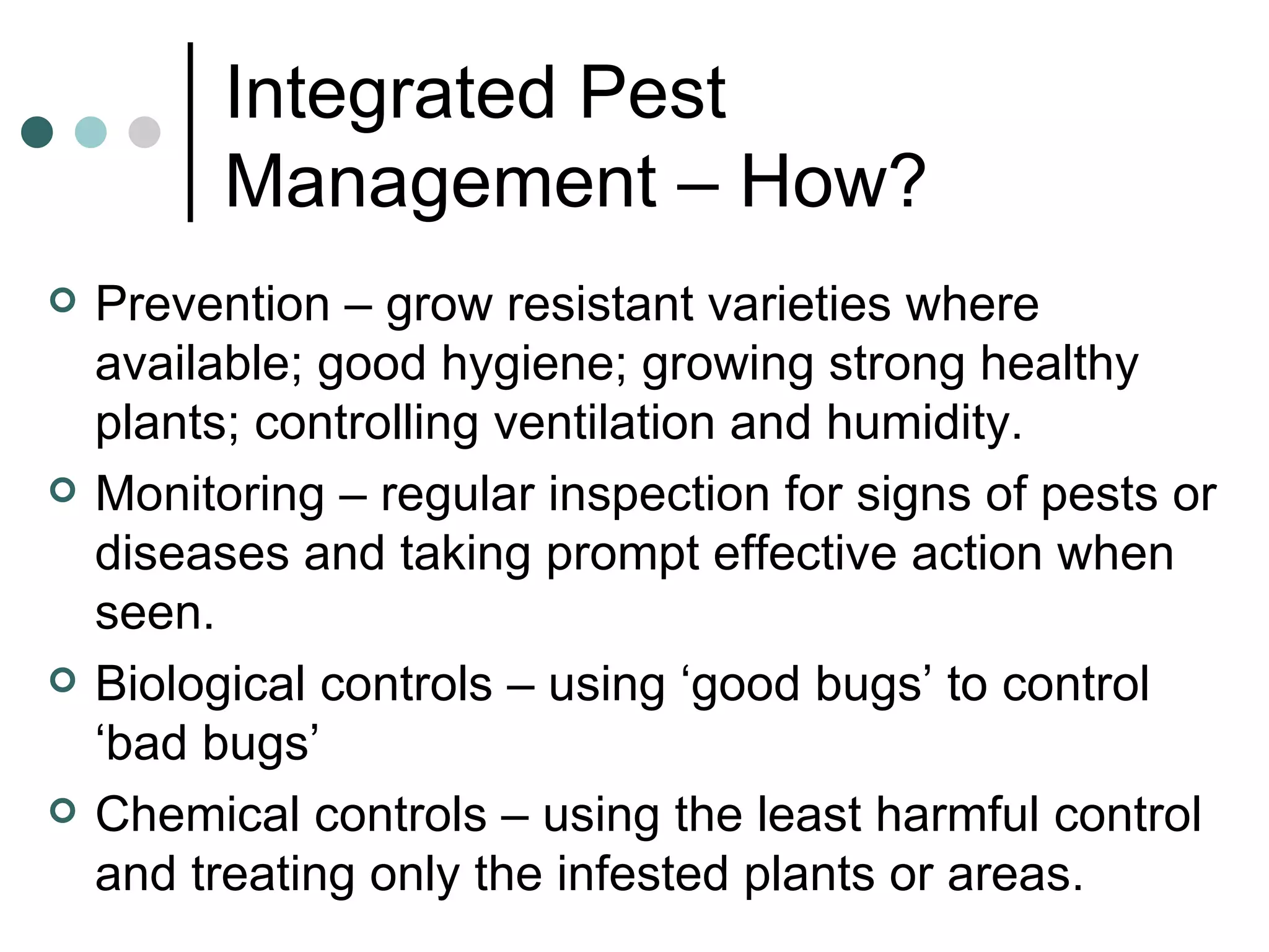 Year 2 week 13 presentation | PPT