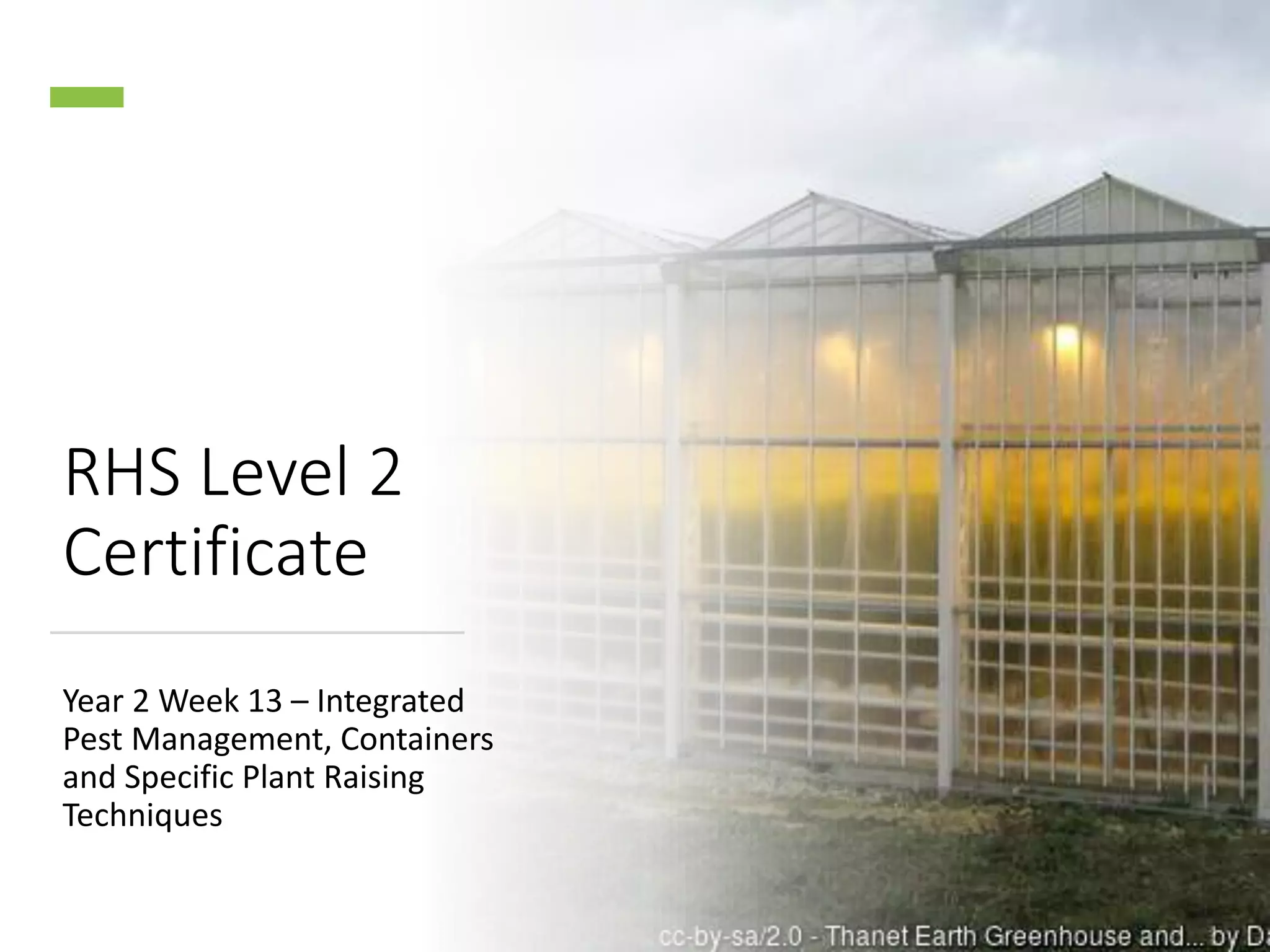 Year 2 week 13 presentation revised | PPT