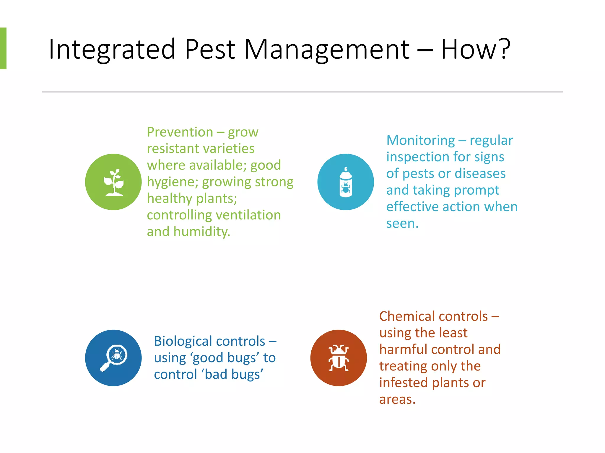 Year 2 week 13 presentation revised | PPT