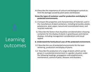 Year 2 week 13 presentation revised | PPT