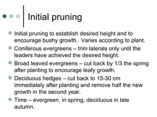 Year 2 week 25 presentation 2017 | PPT