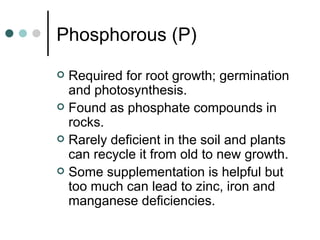 RHS Year 2 week 7 presentation | PPT