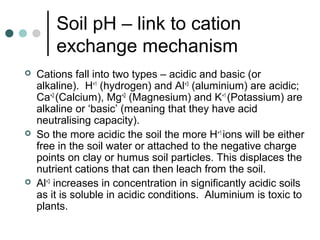 Year 2 week 9 presentation | PPT