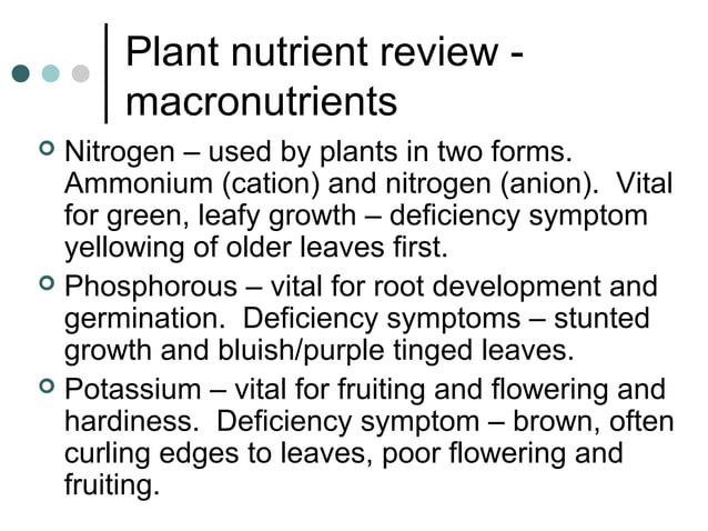 Year 2 week 9 presentation 2012 | PPT
