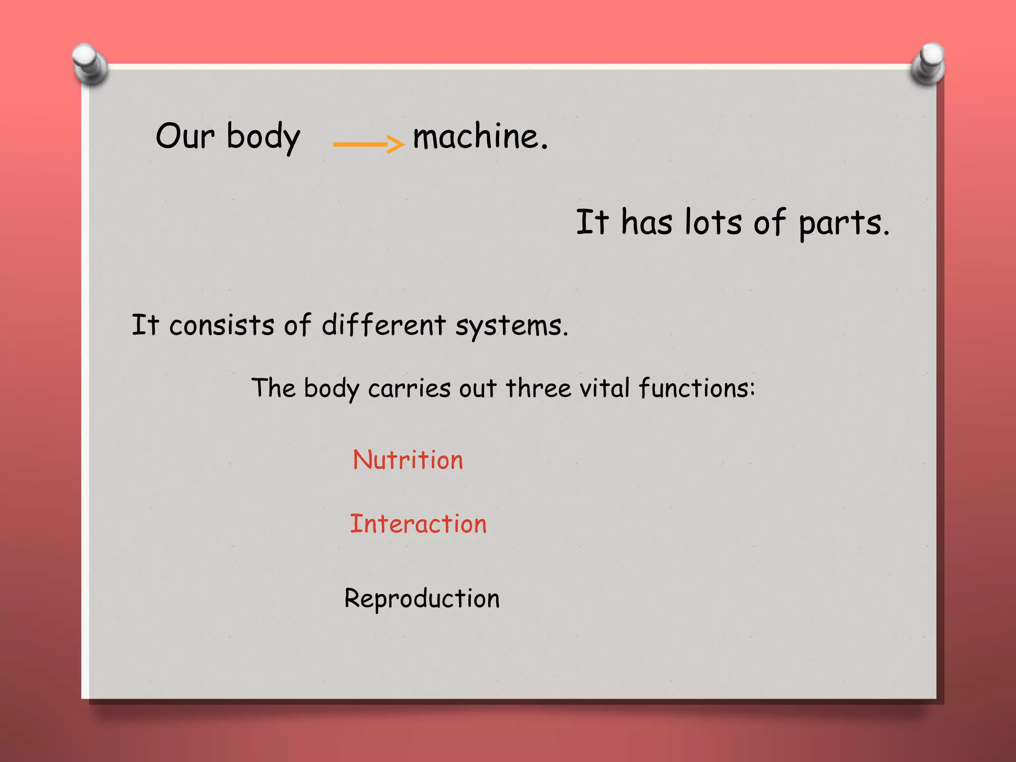 Year 4 body systems | PPT