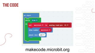 Year 4 Microbit_.pptx