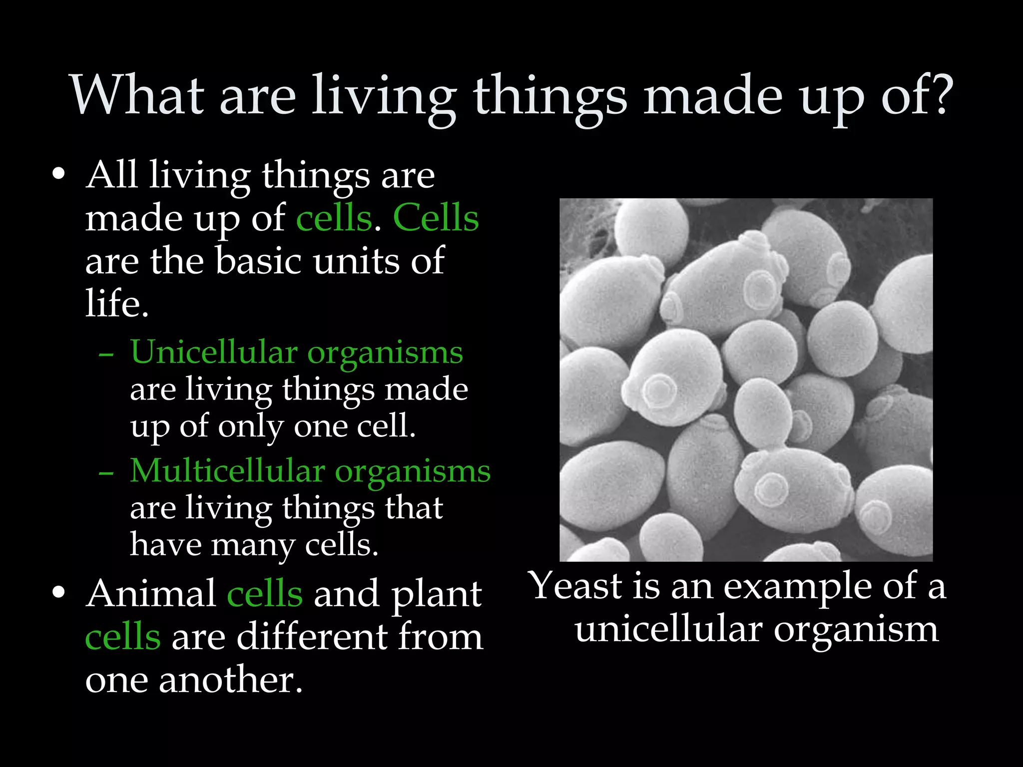 The organisation of living things | PPTX