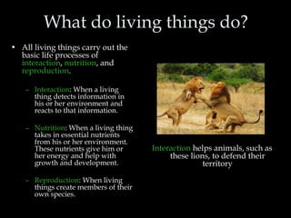 The organisation of living things | PPTX