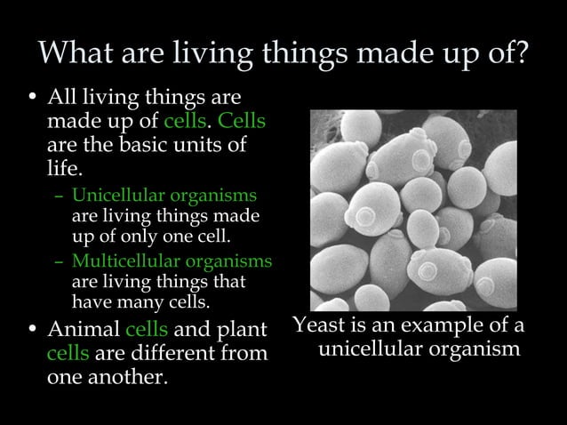 The organisation of living things | PPT
