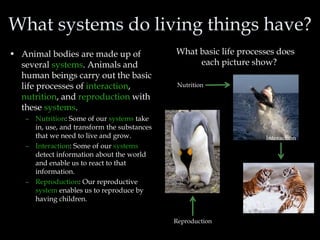The organisation of living things | PPTX