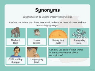 Year 6 Synonyms And Antonyms Warm Up Powerpoint.ppt