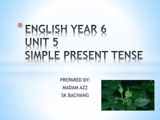 YEAR 6 UNIT 5 GRAMMAR SIMPLE PRESENT TENSE | PPT