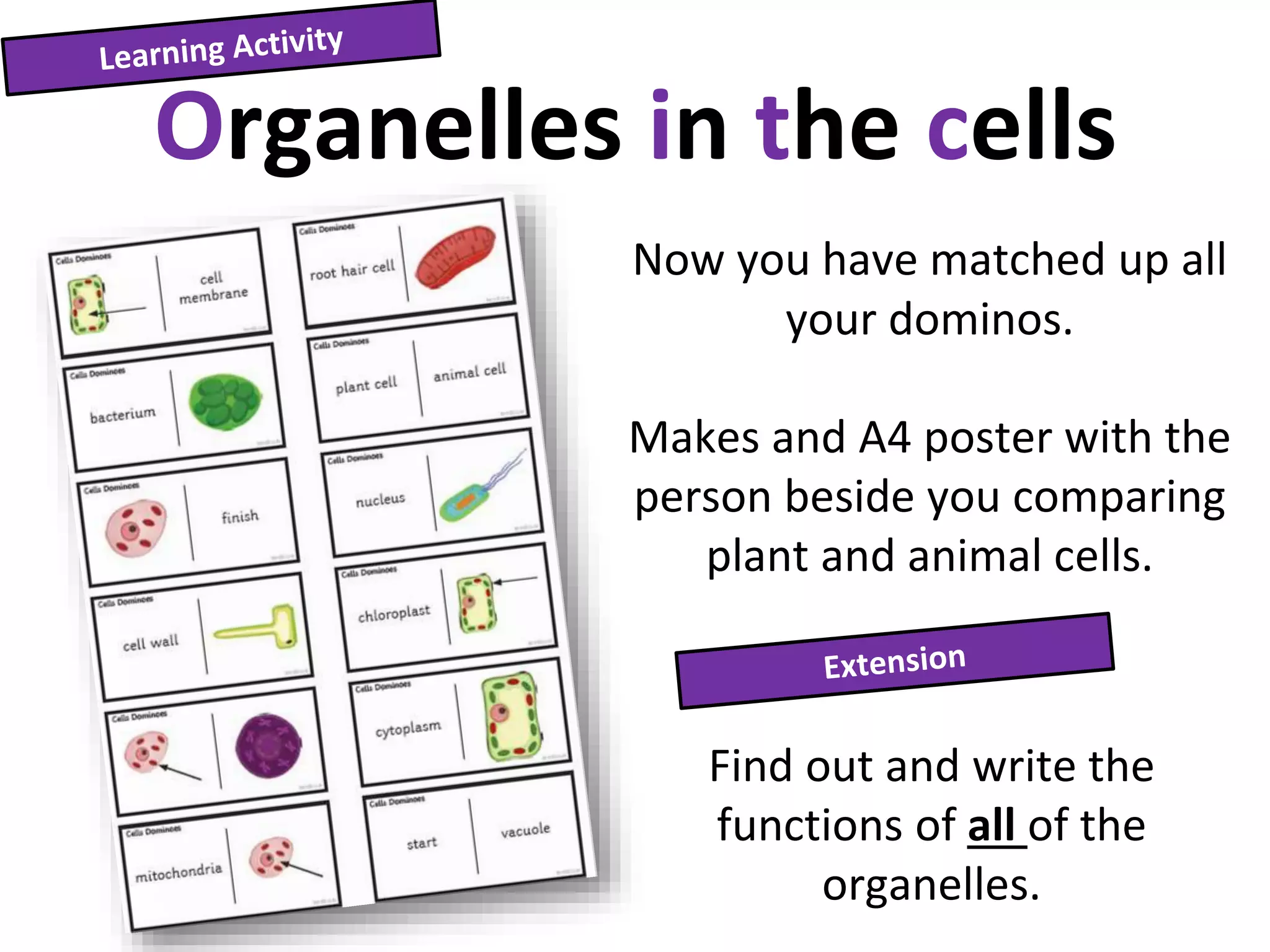 Year 7 Science Revision Pack C1.pptx