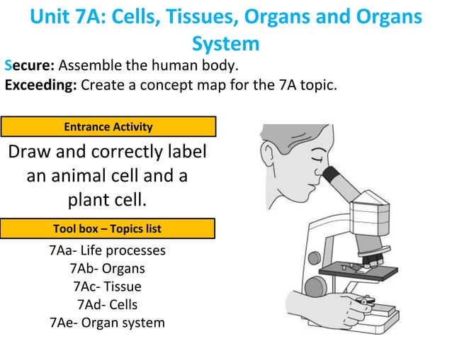 Year 7 Science Revision Pack C1.pptx