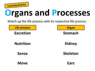 Year 7 Science Revision Pack C1.pptx