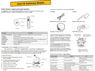 Year 7 Science Revision Pack C1.pptx