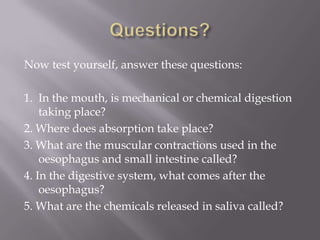 Year 8 body systems interactive task | PPTX