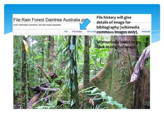 Year 8 geography landscapes and landforms | PPTX