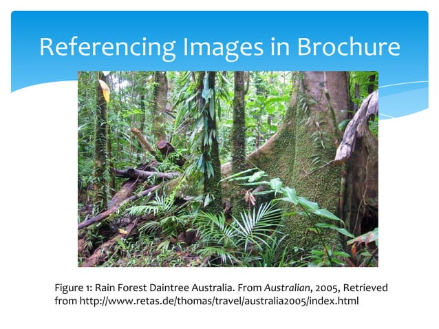 Year 8 geography landscapes and landforms final | PPTX | Databases ...