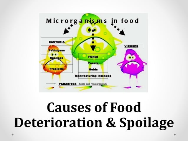 Year 9 & 10 First Principles of Food Preparation & Cooking - Causes of ...