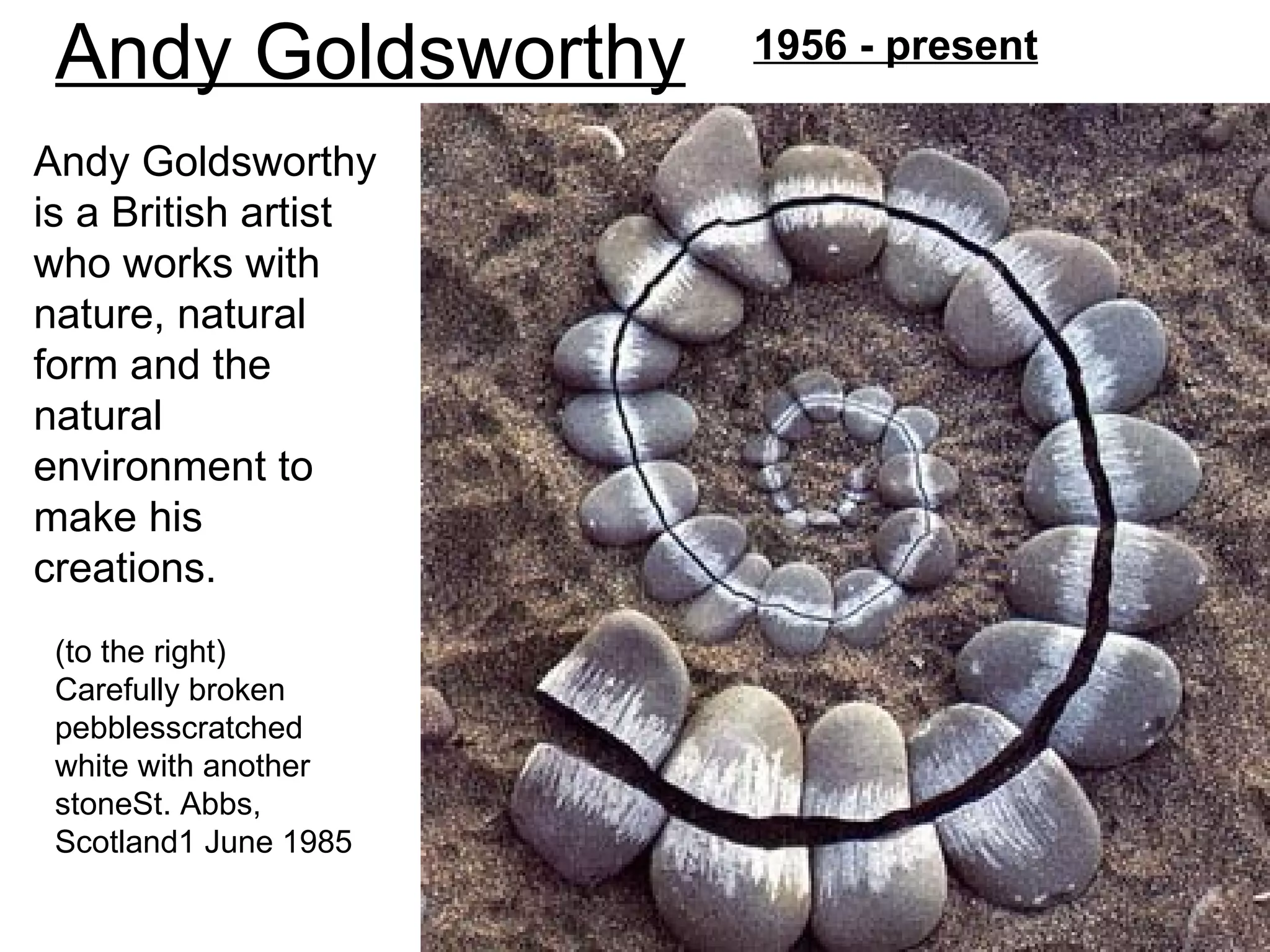 Year 9 Natural Forms boards | PPT