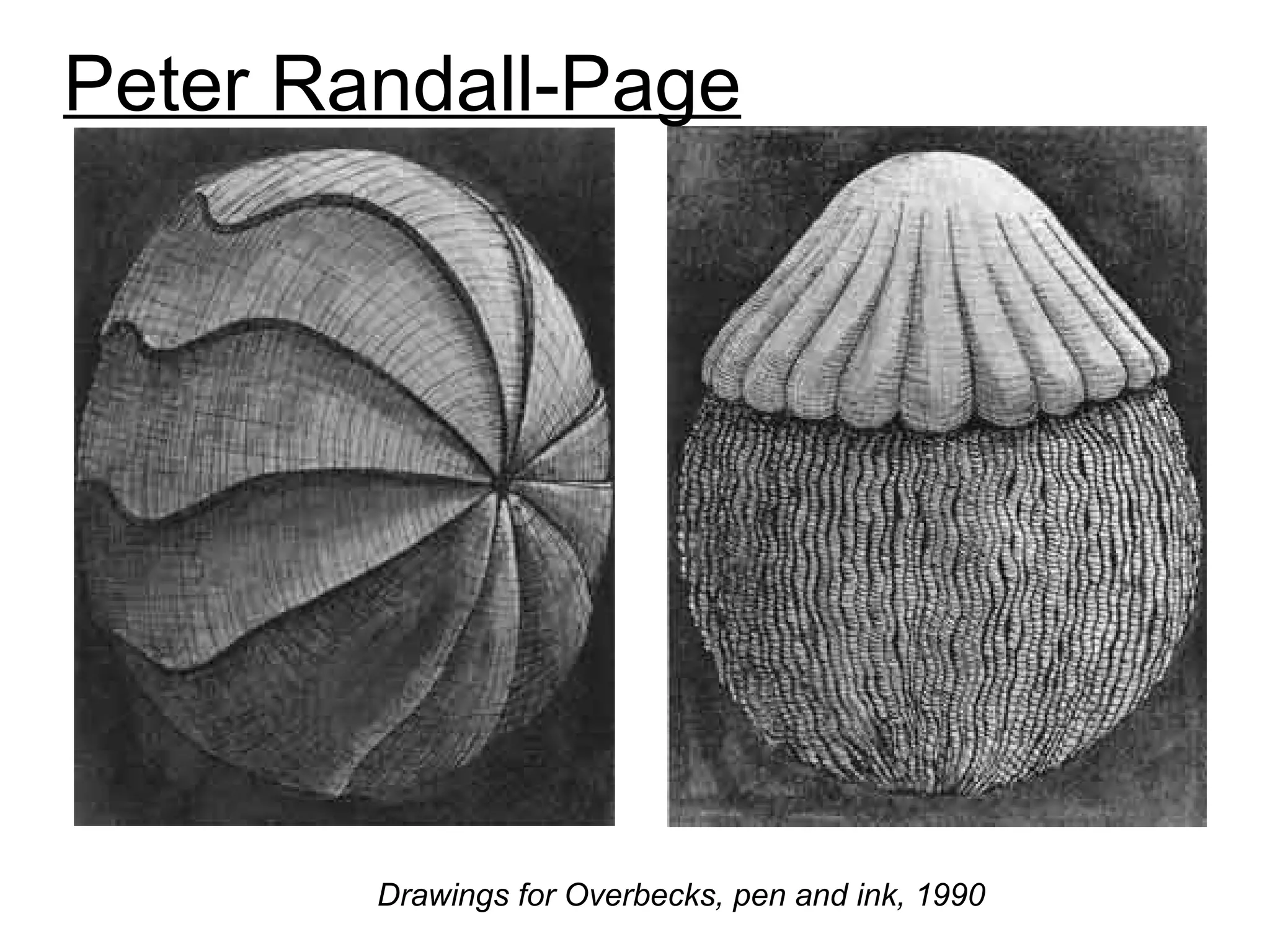 Year 9 Natural Forms boards | PPT