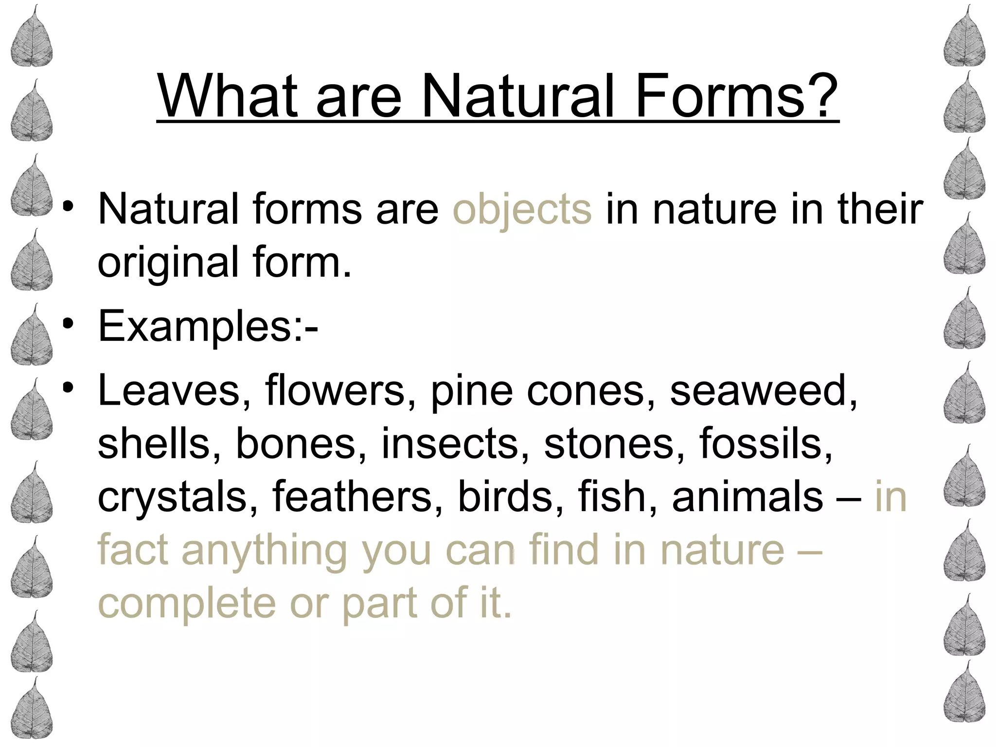 Year 9 Natural Forms boards | PPT