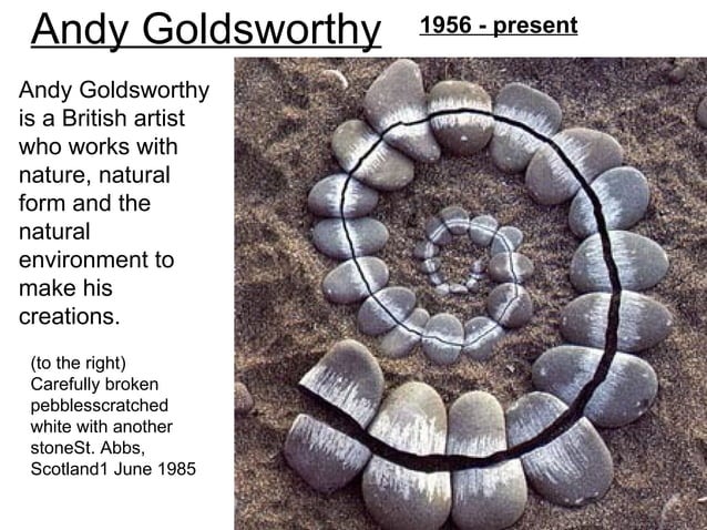 Year 9 Natural Forms boards | PPT