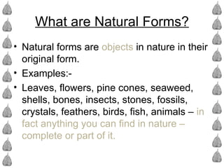 Year 9 Natural Forms boards | PPT