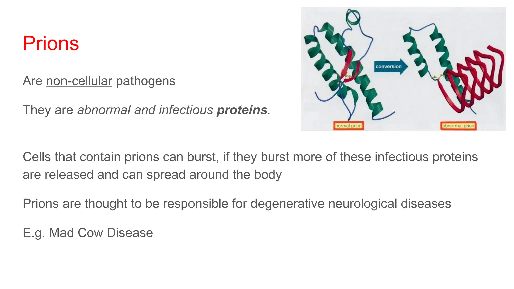 Disease Presentation on what they do to the body | PPTX