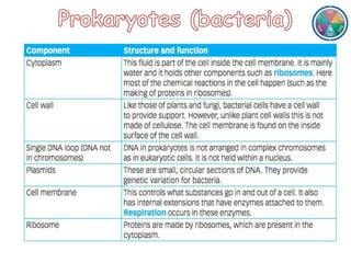 Year 9 GCSE Science Synergy Mock Revision | PPTX