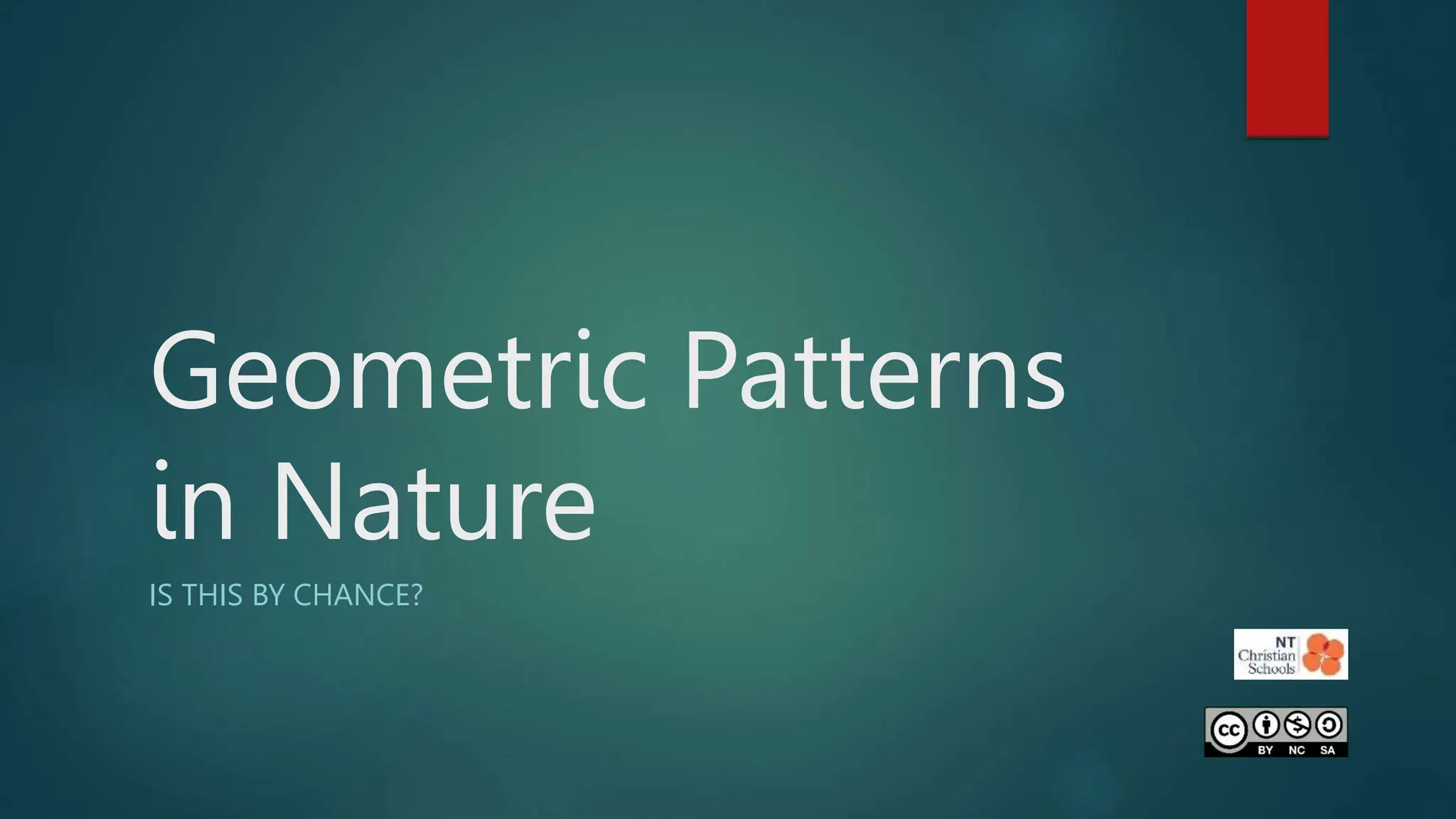 Year 9 Geometric patterns in nature.pptx