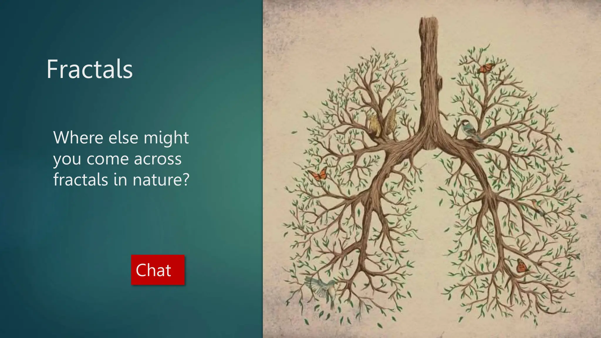 Year 9 Geometric patterns in nature.pptx