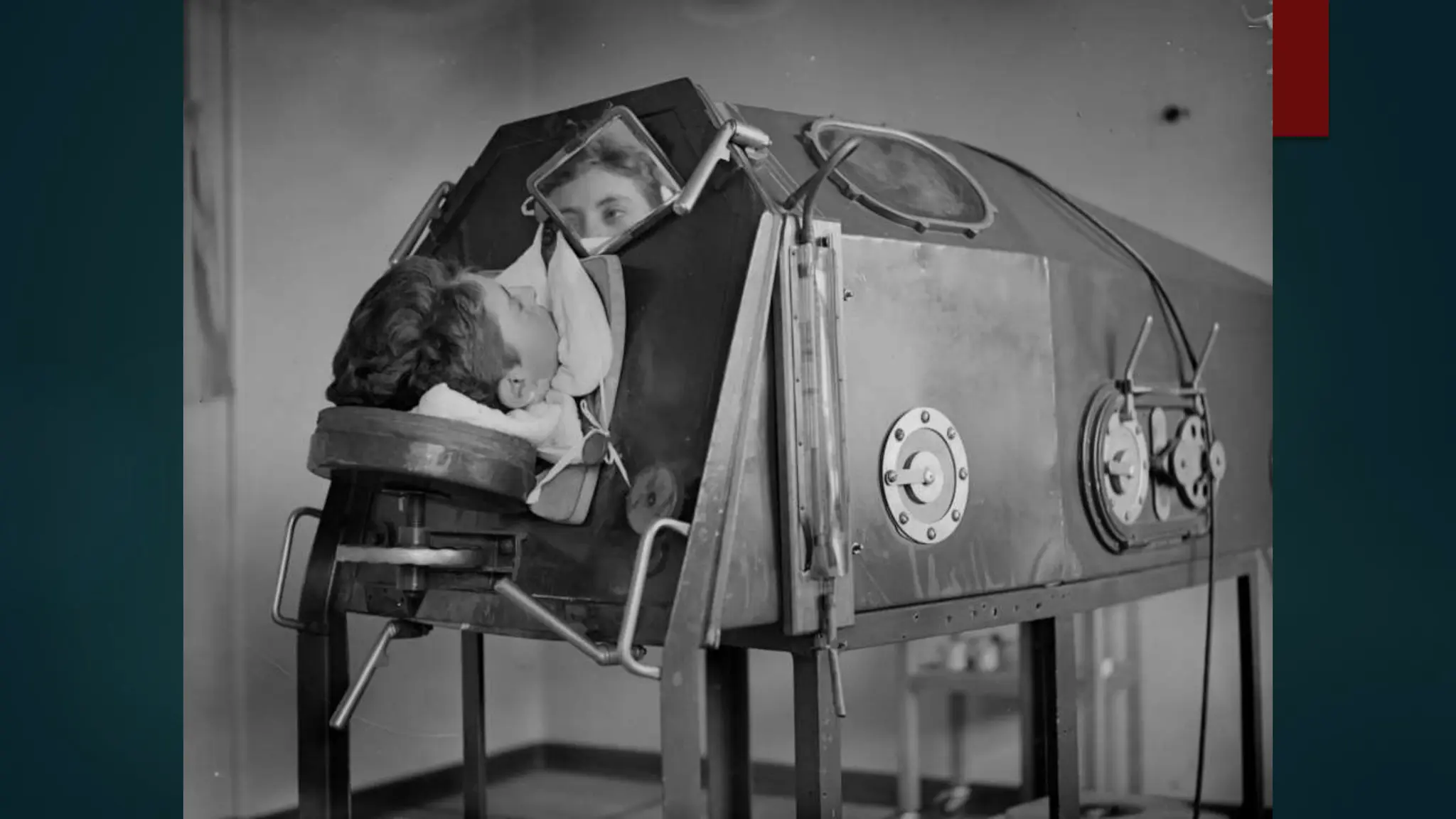 Year 9 Geometric patterns in nature.pptx