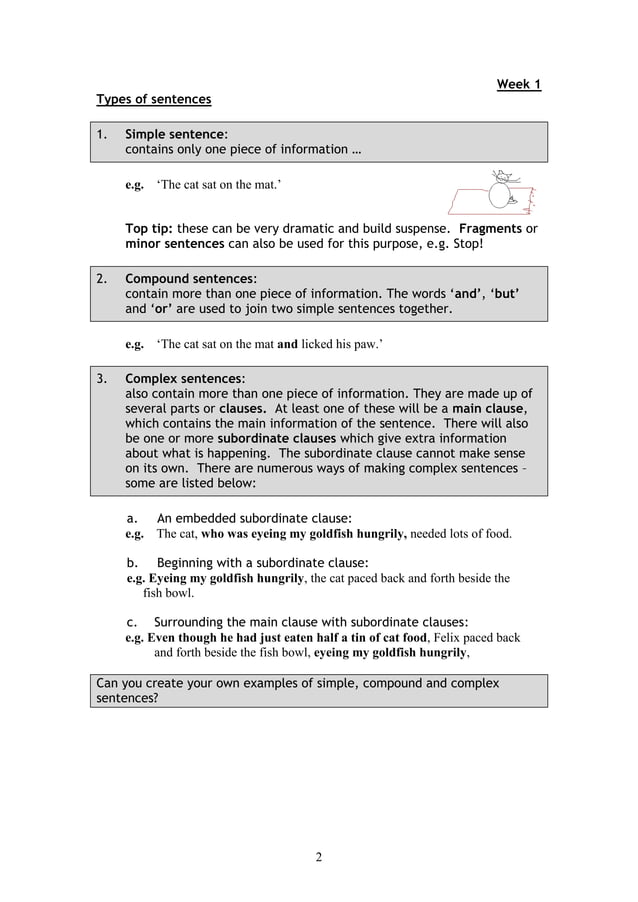 Year 9 Homework Booklet 3 | PDF | Cats | Pets