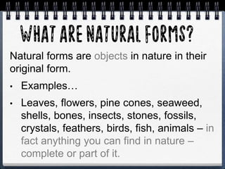 Year 9 natural form boards 21 | PPT